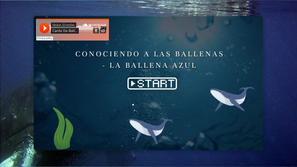 LA BALLENA AZUL | Genially