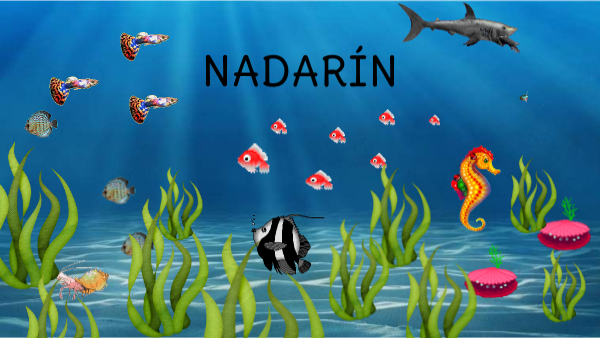 Nadarín | Genially