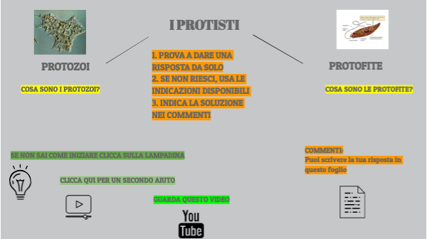 I PROTISTI