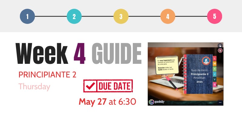 Amati-principiante2-week4