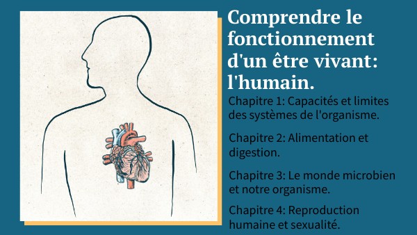 Présentation thème 3 4eme | Genially