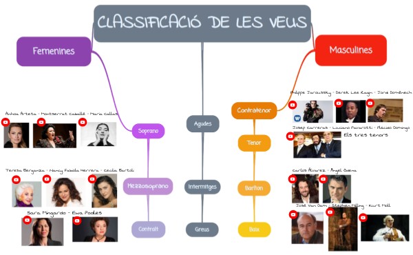 Classificació de les veus