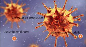 agents pathogènes