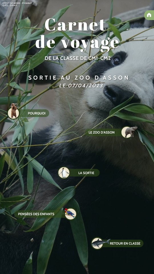 affiche interactive : carnet de voyage d'une visite au zoo | Genially