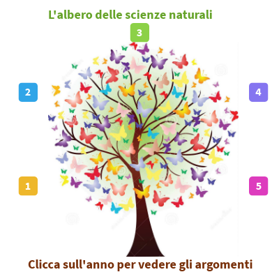 L'albero delle Scienze Naturali: scansione annuale