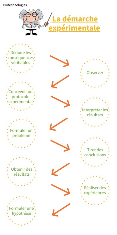 BT - rappels : démarche expérimentale