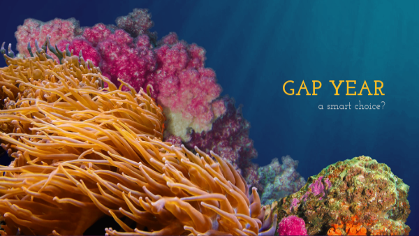 Gap Year