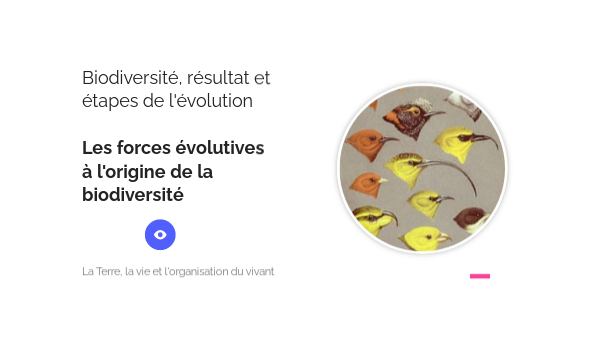 2nde P2 Chapitre 2 Les forces et l'évolution de la biodiver | Genially
