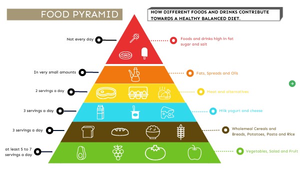 FOOD PYRAMID