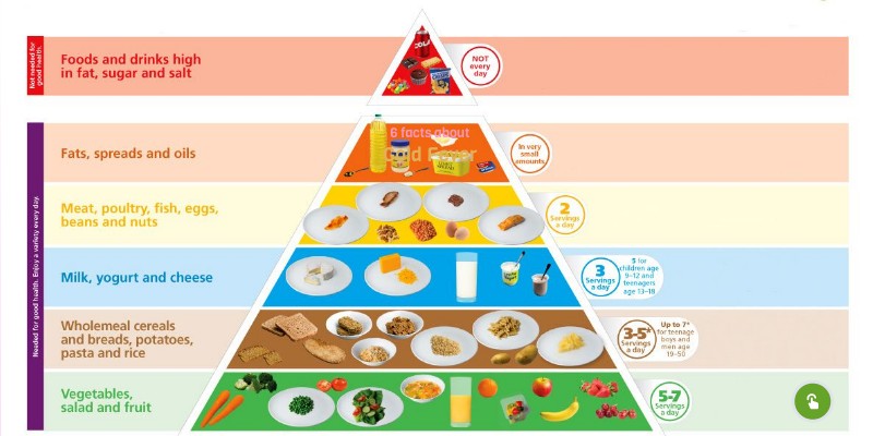 Food Pyramid | Genially