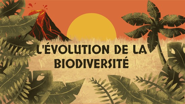 évolution biodiversité | Genially