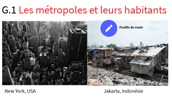 Alex - Les métropoles et leurs habitants | Genially