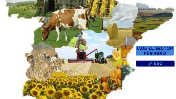 SECTOR PRIMARIO