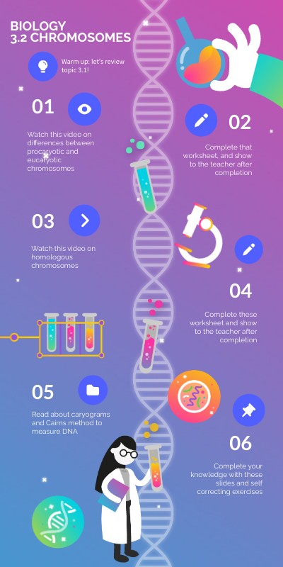 IB BIOLOGY 3.2 chromosomes