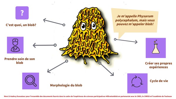 TP Blob 2n1 groupe 2 | Genially
