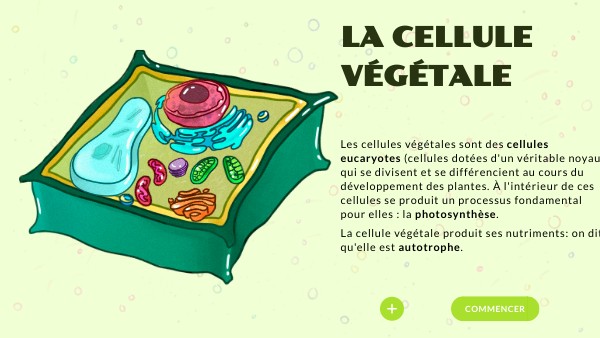 PARTIES DE LA CELLULE VÉGÉTALE