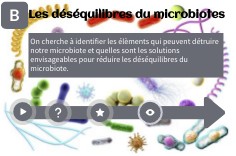 Déséquilibre du microbiote | Genially