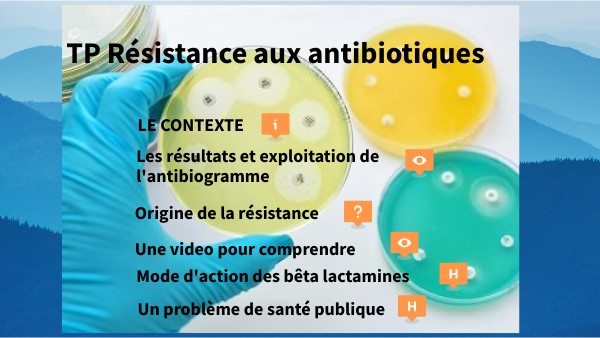 TSPE TH1 TP Résistance Antibiotiques | Genially