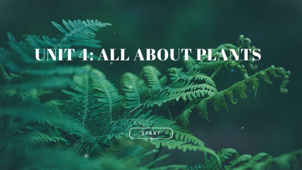 Unit 4 Speaking Test Genially