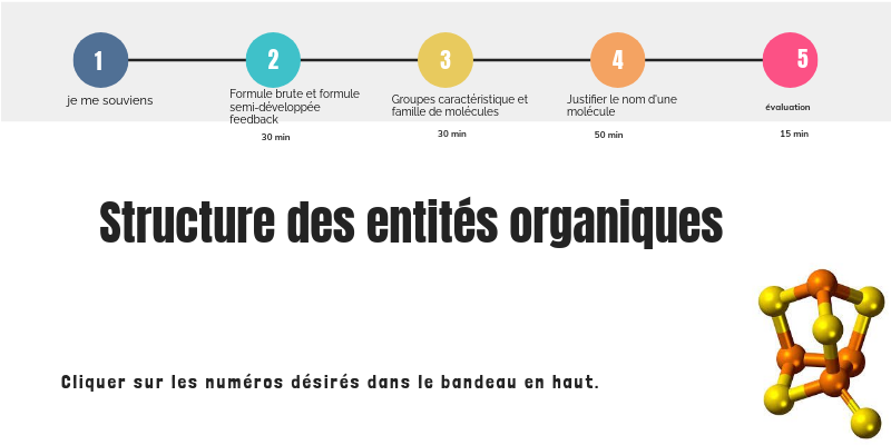 structure des entités organiques | Genially