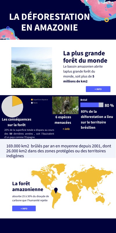 LA DEFORESTATION EN AMAZONIE | Genially