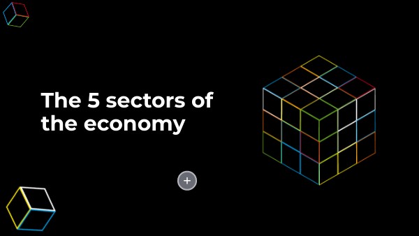 The 5 sectors of the economy | Genially