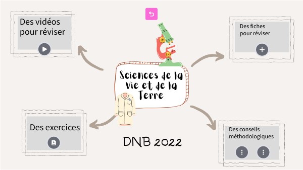 DNB 2022 Révision