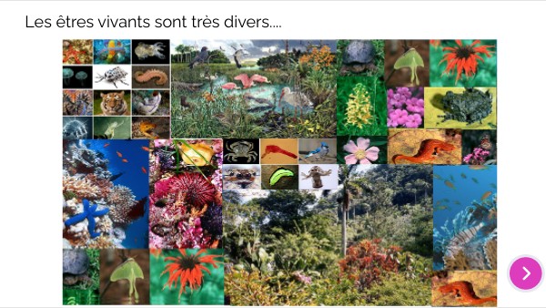 Observer EV | Genially