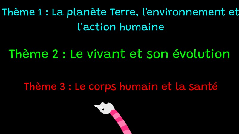 2023-2024 4.2 parenté et évolution | Genially