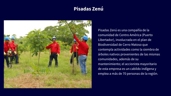 PISADAS ZENÚ | Genially
