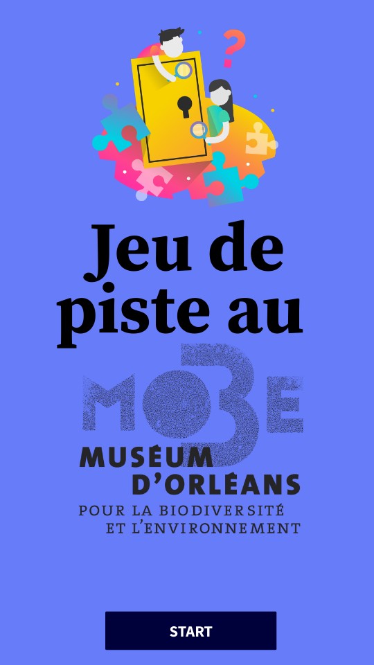 Le MOBE comme outil et allié pédagogique