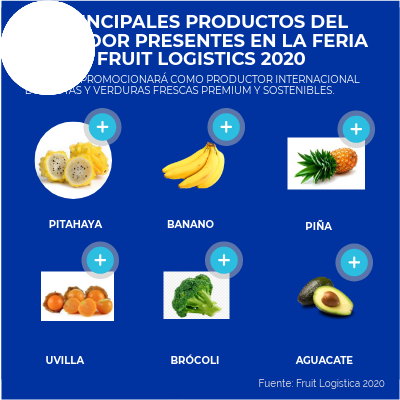 Porductos feria fruir