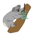 Koala fact file