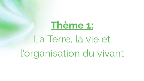 2nde Thème 1 TP01 | Genially