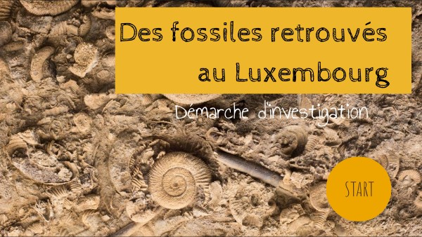 Des fossiles retrouvés au Luxembourg