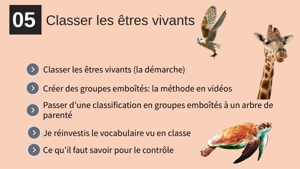 classer les êtres vivants 6e. | Genially