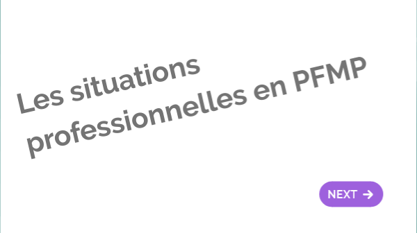 Situation Pro 2 ASS PFMP copie