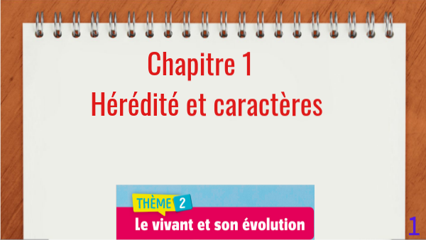 Chapitre 1 troisième P2 | Genially
