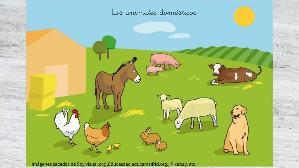 Los animales domésticos