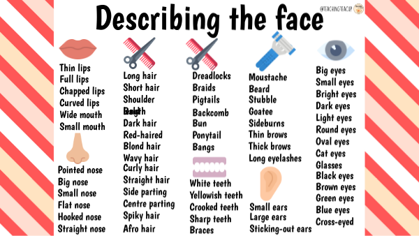 Describing the face | Genially