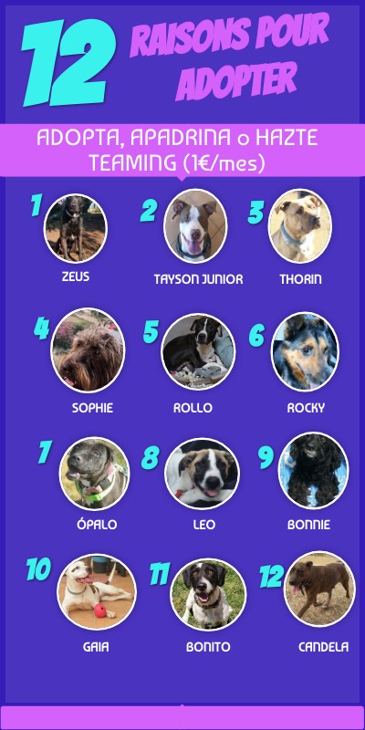 RAZONES PARA ADOPTAR