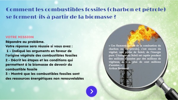 COMBUSTIBLES FOSSILES