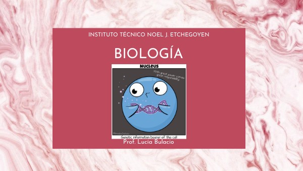 4 clase repaso célula | Genially