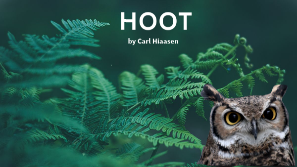 Hoot-Presentation | Genially