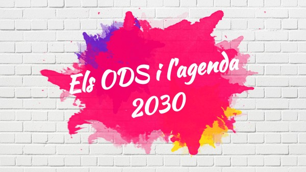 Els ODS i l'agenda 2030