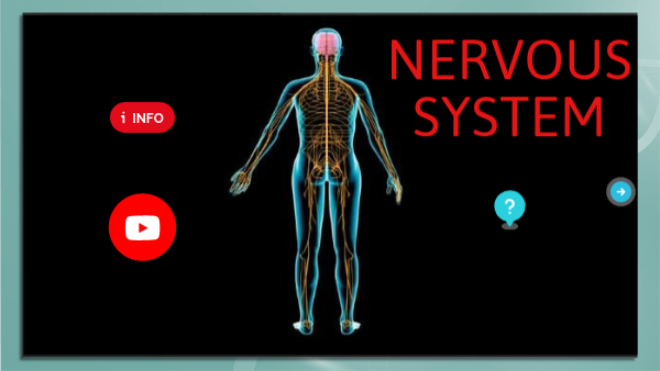 4º NERVOUS SYSTEM | Genially