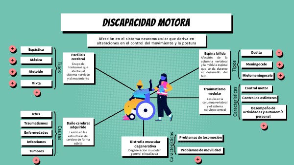 discapacidad motora