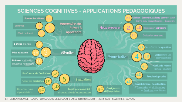 SCIENCES COGNITIVES CARTE MENTALE | Genially