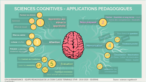 COGNI CLASSE CARTE MENTALE INTERAC
