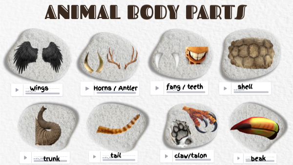 animals description | Genially